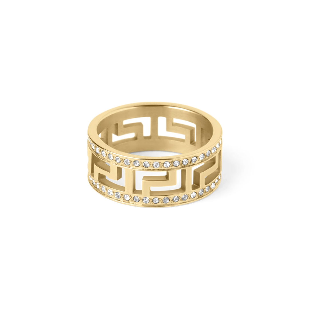 Fetch Ring | Waterproof Stainless Steel Sieraden | Be Golden